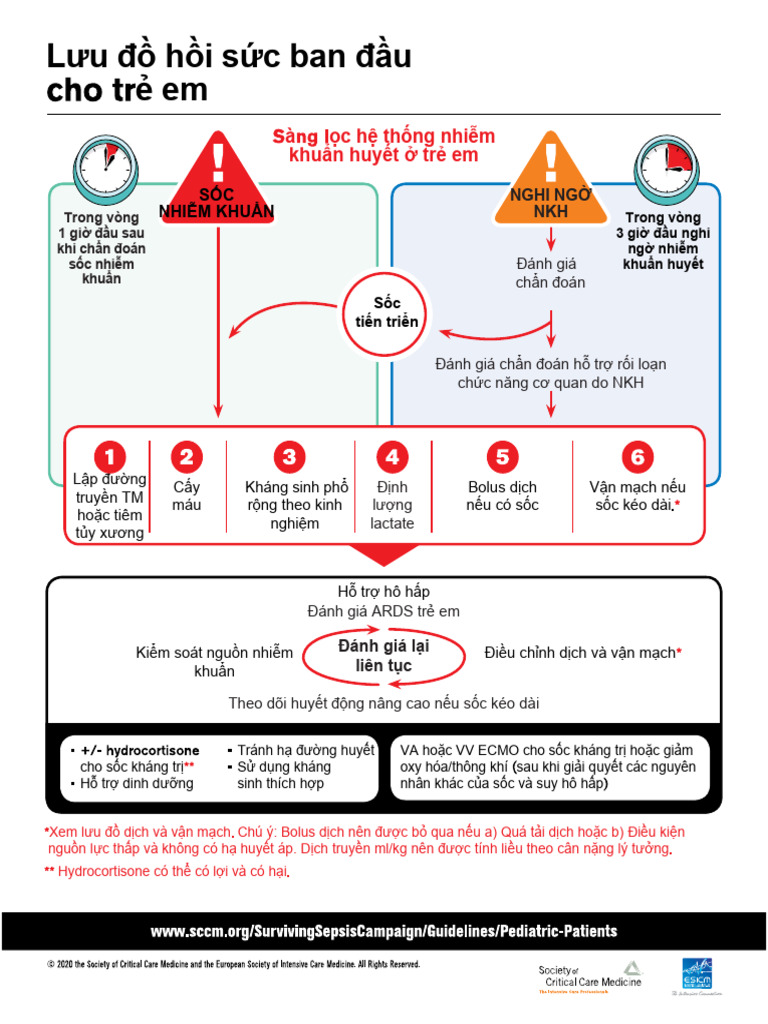 Nkhuyet Luu Do 20203 244202010 | PDF