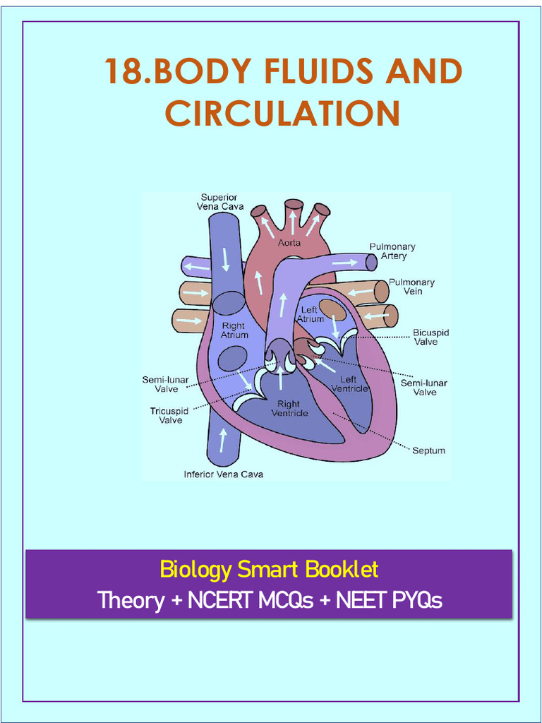 18.BODY FLUIDS AND CIRCULATION-f | PDF | Atrium (Heart) | Diastole