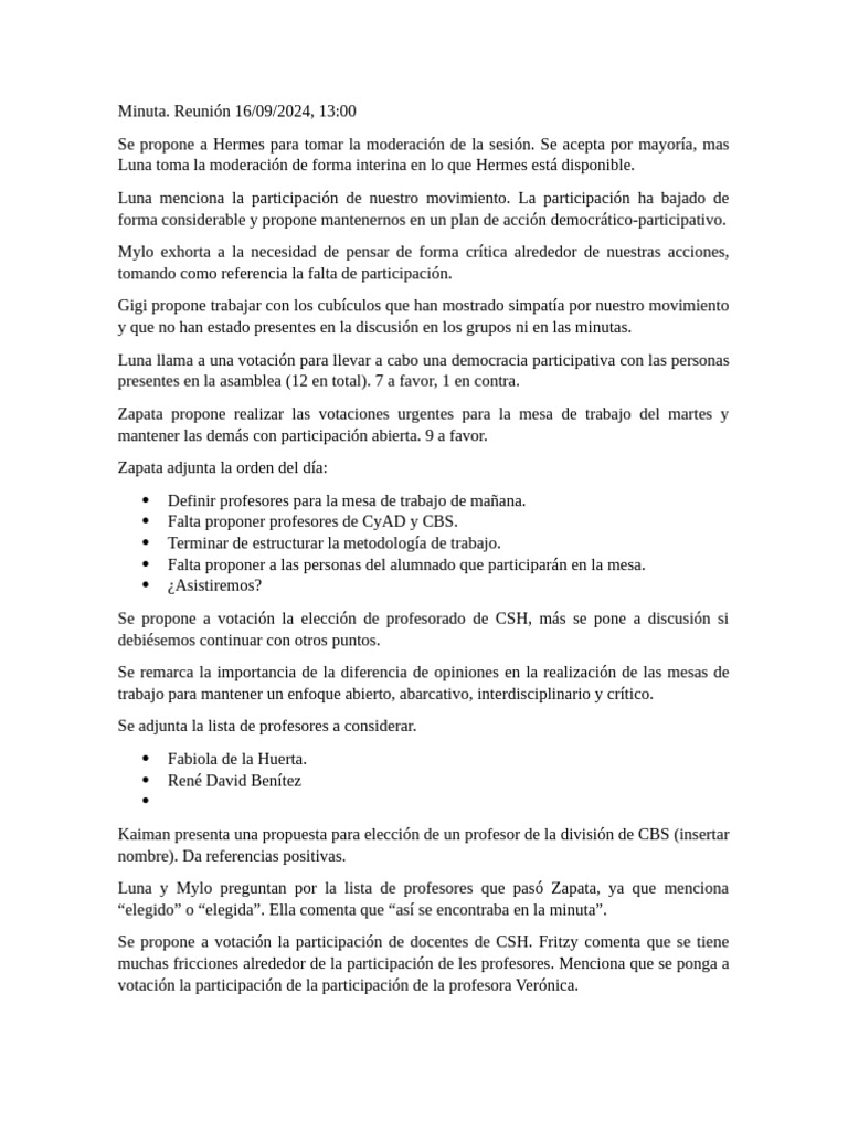 Minuta Reunión 16/09/2024: Participación y Metodología | PDF