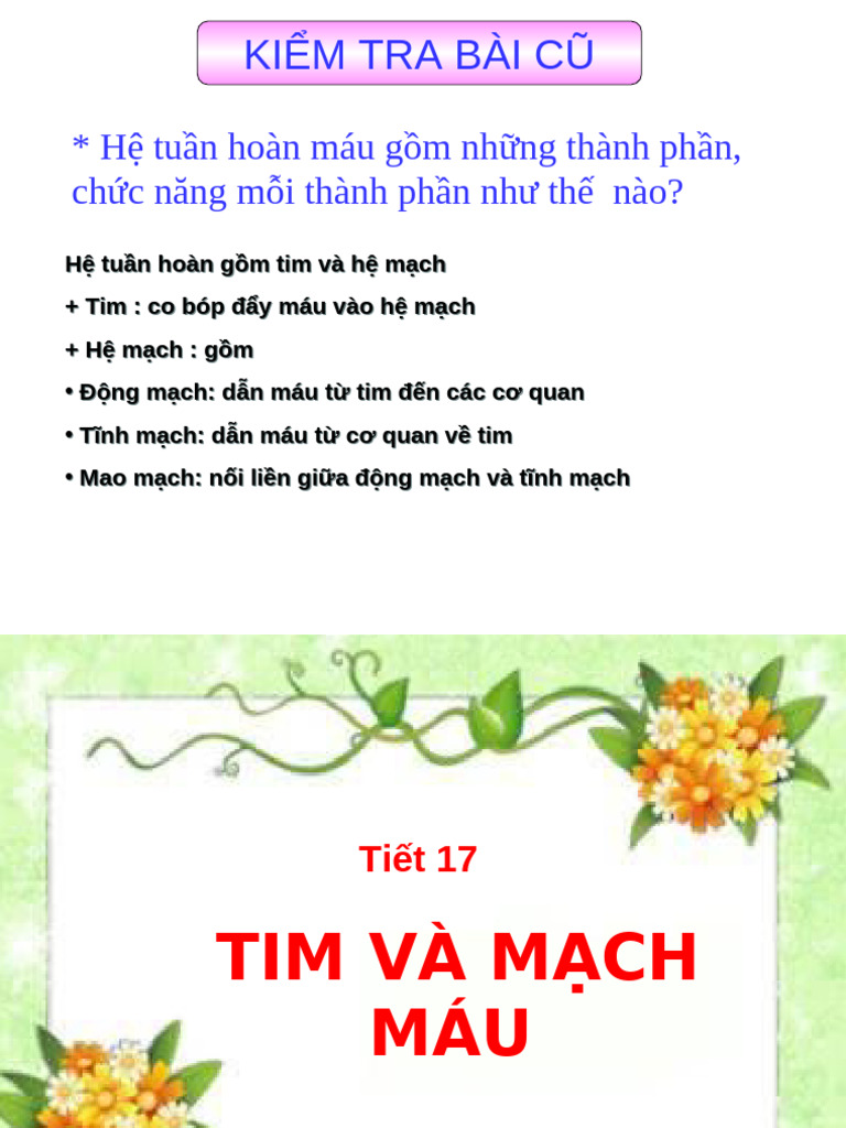 Bai 17 Tim Va Mach Mau | PDF