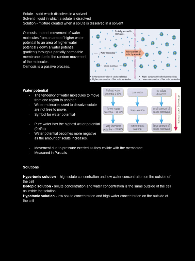 Osmosis - OCR A Level Biology | PDF