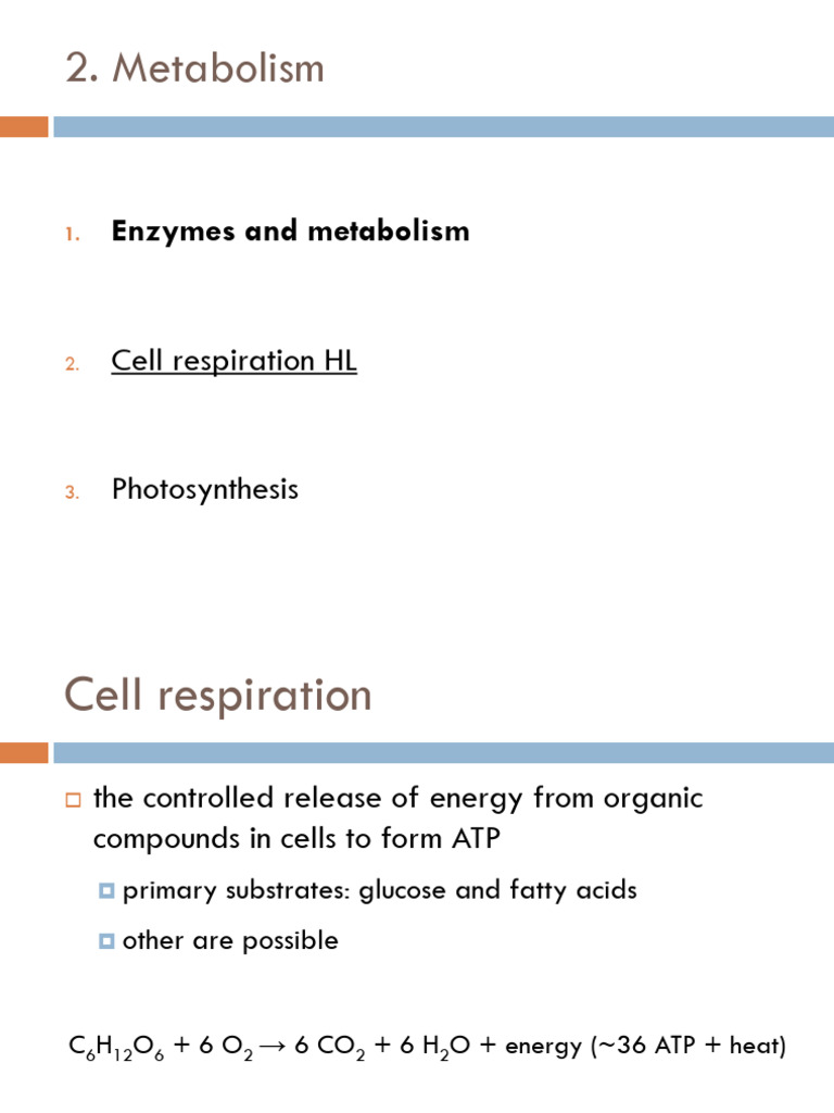 2 Cell Respiration HL | PDF | Cellular Respiration | Electron Transport ...