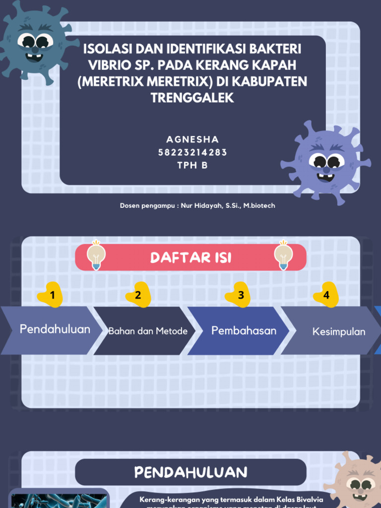 Isolasi Dan Identifikasi Bakteri Vibrio Pada Kerang Kapah | PDF