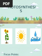 Grade 8 Photosynthesis Worksheet | PDF | Photosynthesis | Leaf