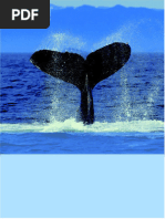 Keyed Access Data Page in Pega | PDF | Databases | Parameter (Computer ...