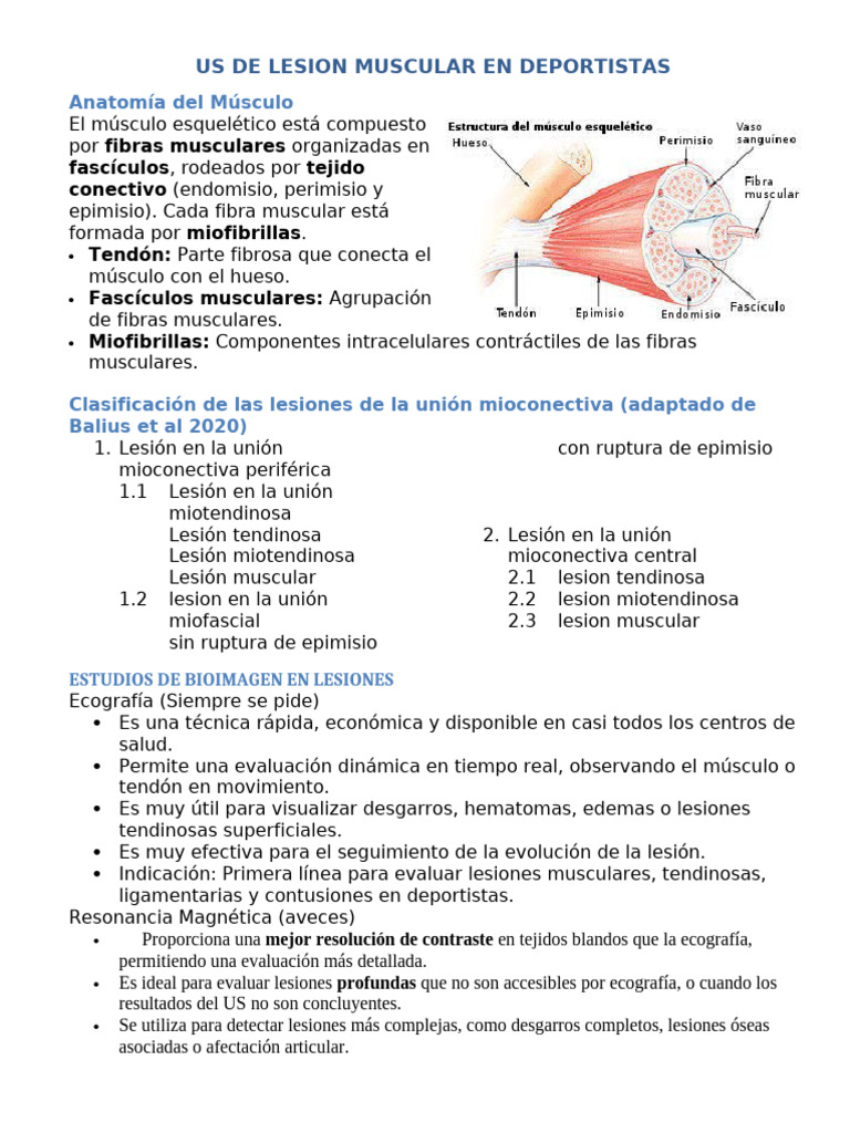 Us de Lesion Muscular en Deportistas | PDF | Músculo | Sistema ...
