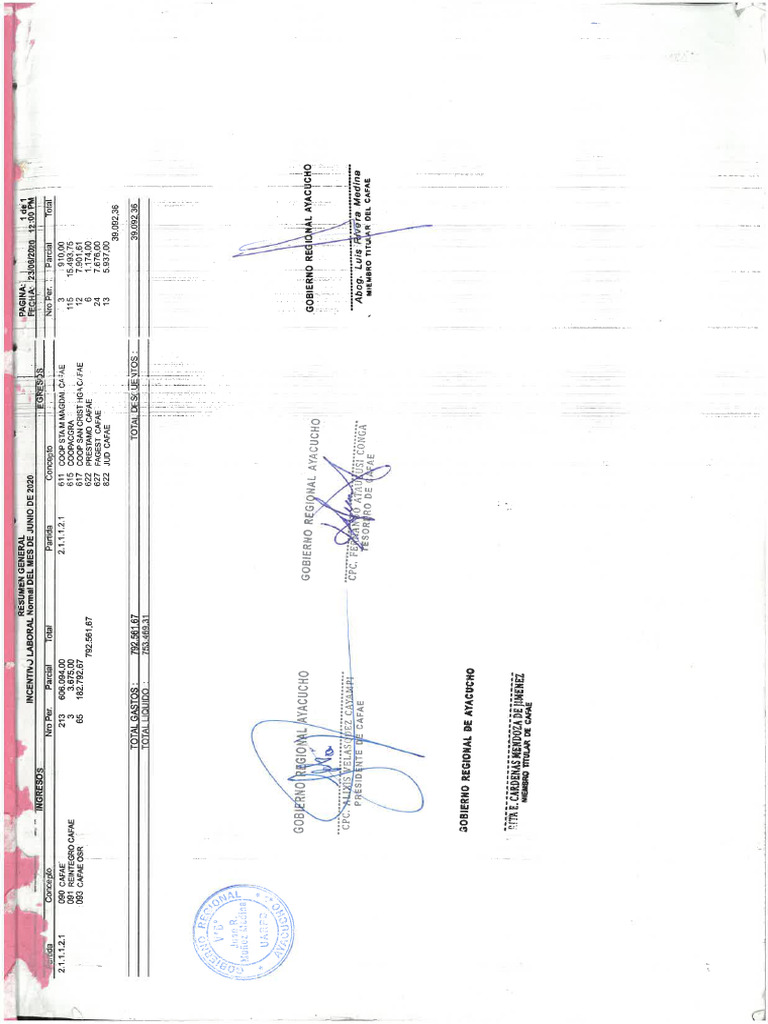 Planilla Junio 2020 | PDF