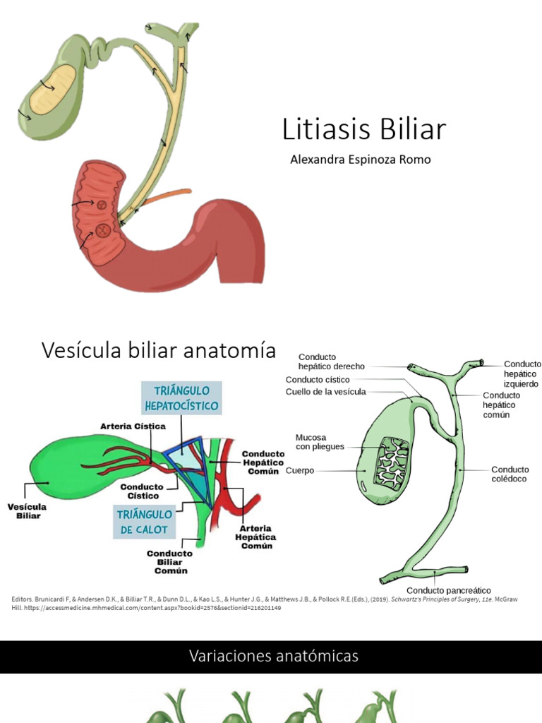 Guía Completa sobre Litiasis Biliar | PDF | Gastroenterología ...