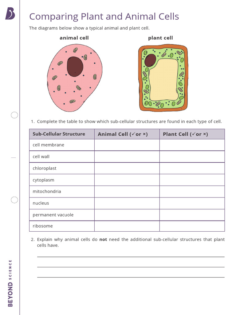 Comparing Plant and Animal Cells | PDF