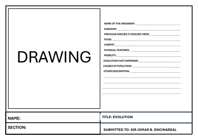 Evolution Peta | PDF