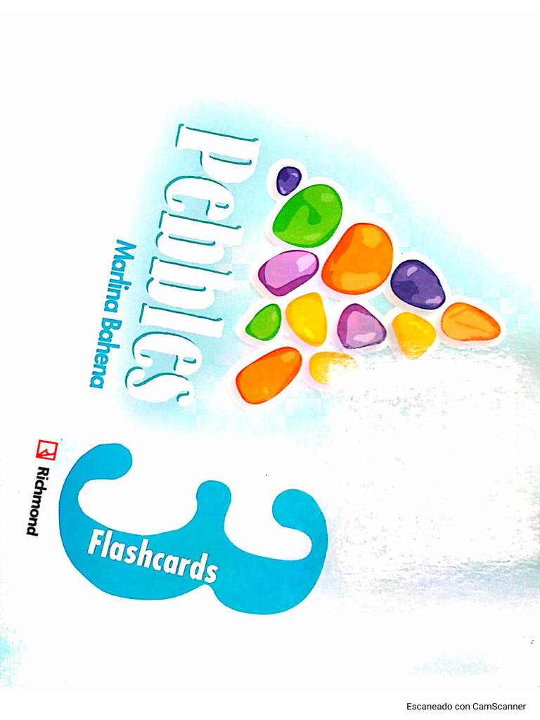 Pebbles 3 Flashcards | PDF