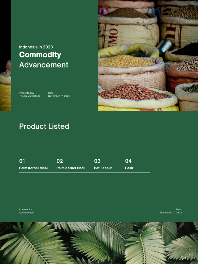 Reporting Our Progress On - Compressed | PDF