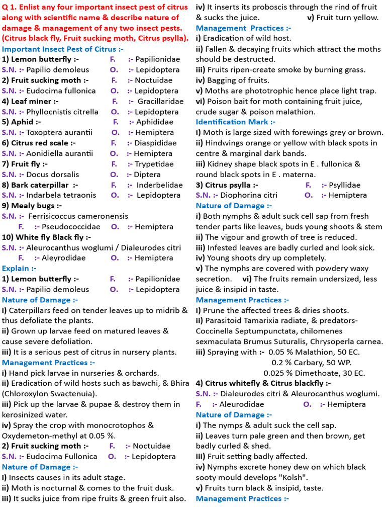 Ento 243 | PDF | Pest (Organism) | Beetle