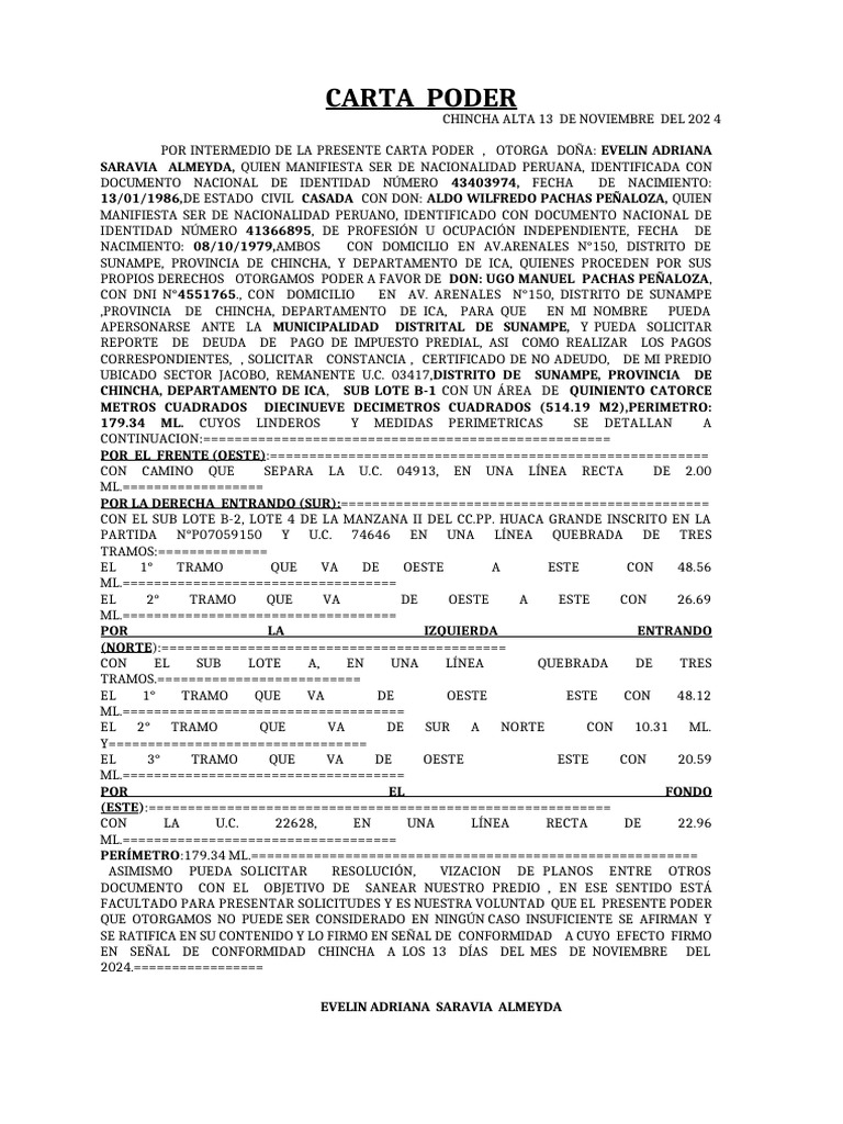 Carta Poder | PDF | Gobierno y personalidad | Gobierno