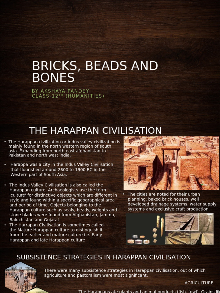 Bricks, Beads and Bones | PDF