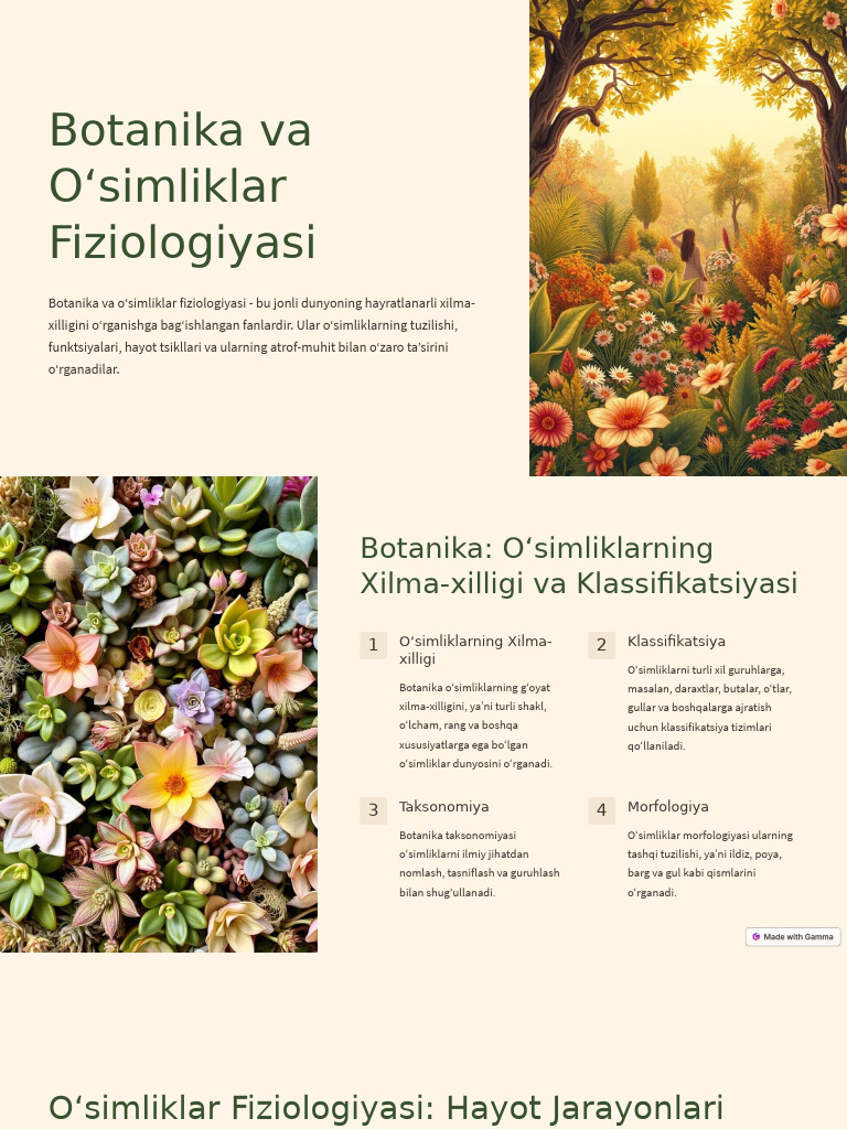 Botanika Va Osimliklar Fiziologiyasi | PDF