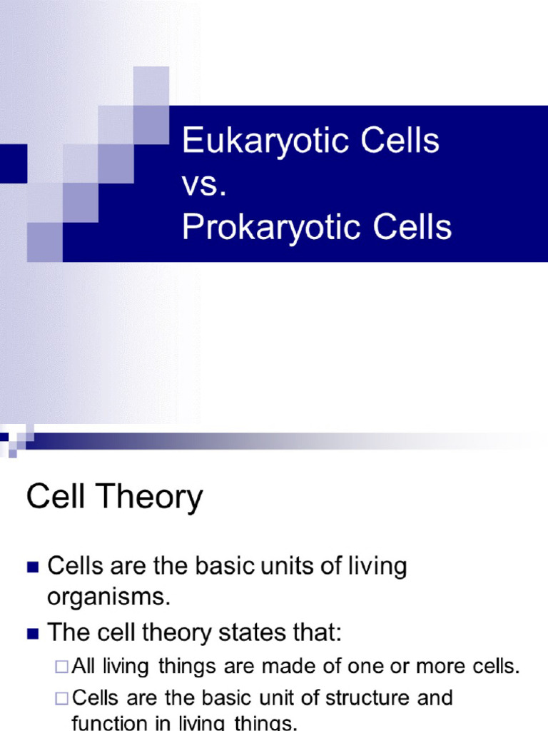 MODULE 2.3 CELLS | PDF MODULE 2.3 CELLS | PDF