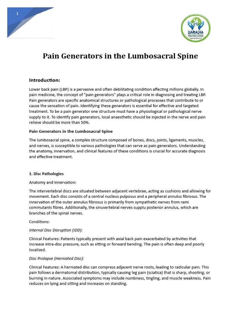 Lumbosacral Spine Pain Generators Explained | PDF | Vertebral Column ...