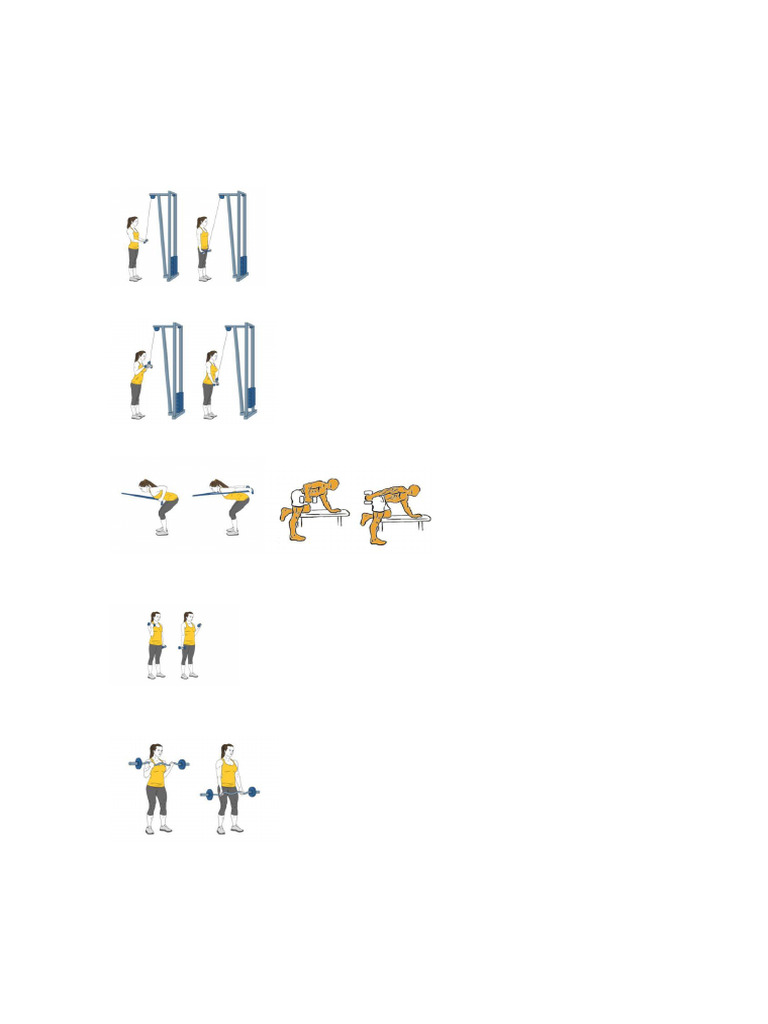 Biceps, Triceps Martes | PDF