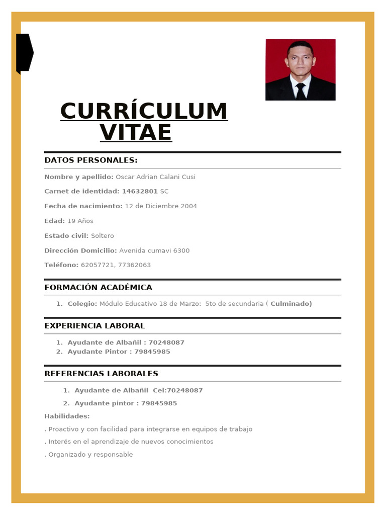 Currículum Vitae Oscar Adrian Calani Cusi | PDF