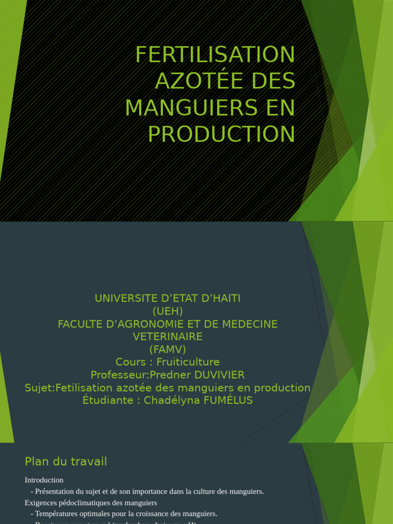 Rendement des manguiers par arbre | PDF | Fertilisant