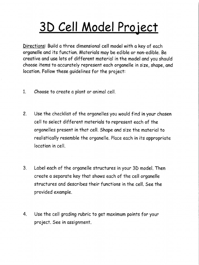 3D Cell Model Project | PDF
