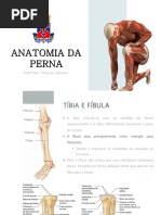 Músculos Da Perna | PDF | Pé | Anatomia humana