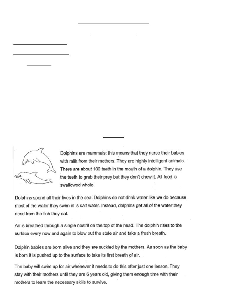 Grade 6 Summary Writing Exercise | PDF