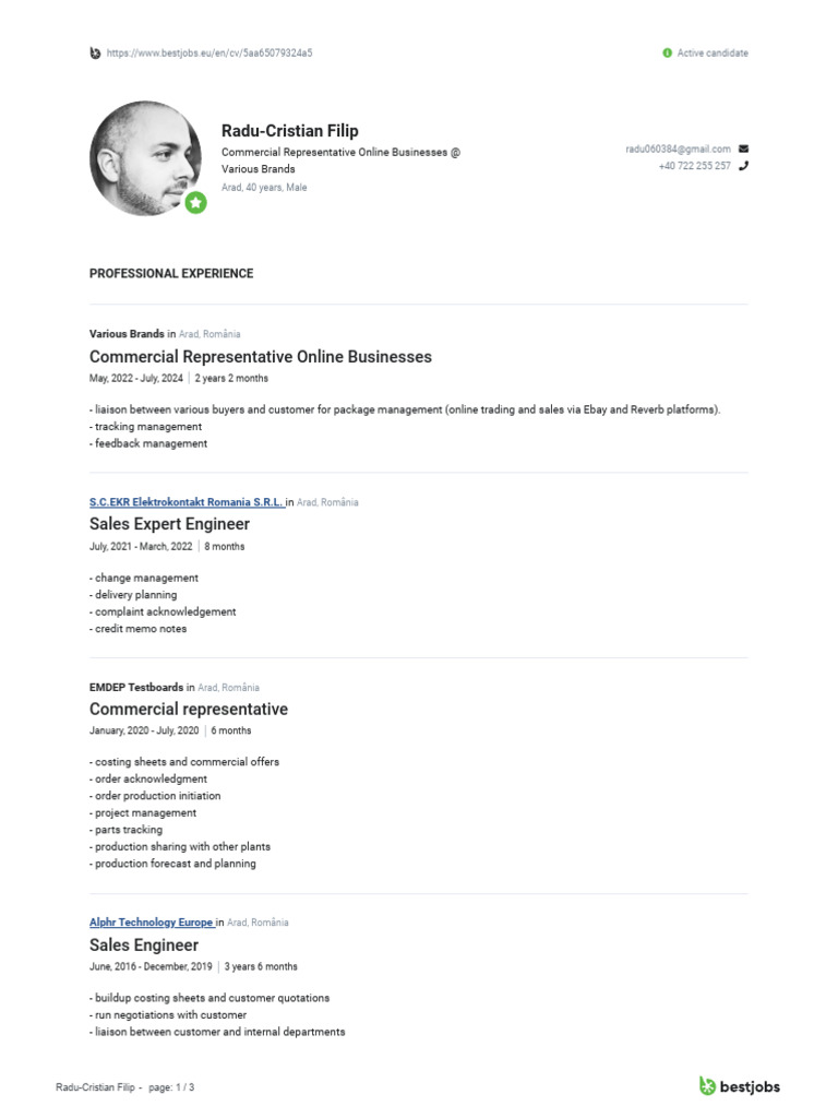 CV-Radu-Cristian Filip | PDF