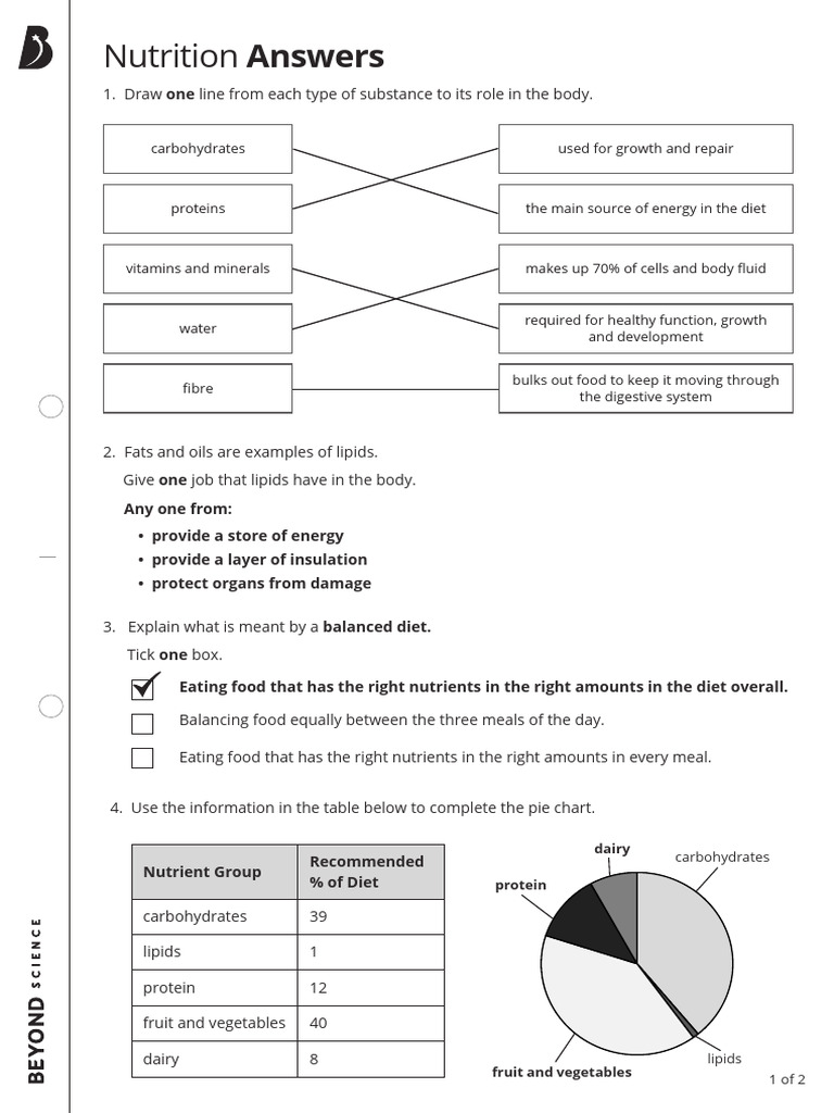 Nutrition Worksheet Support Answers | PDF | Nutrition | Diet & Nutrition