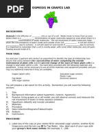 Grape Osmosis Experiment Lab Guide | PDF | Osmosis | Physical Sciences