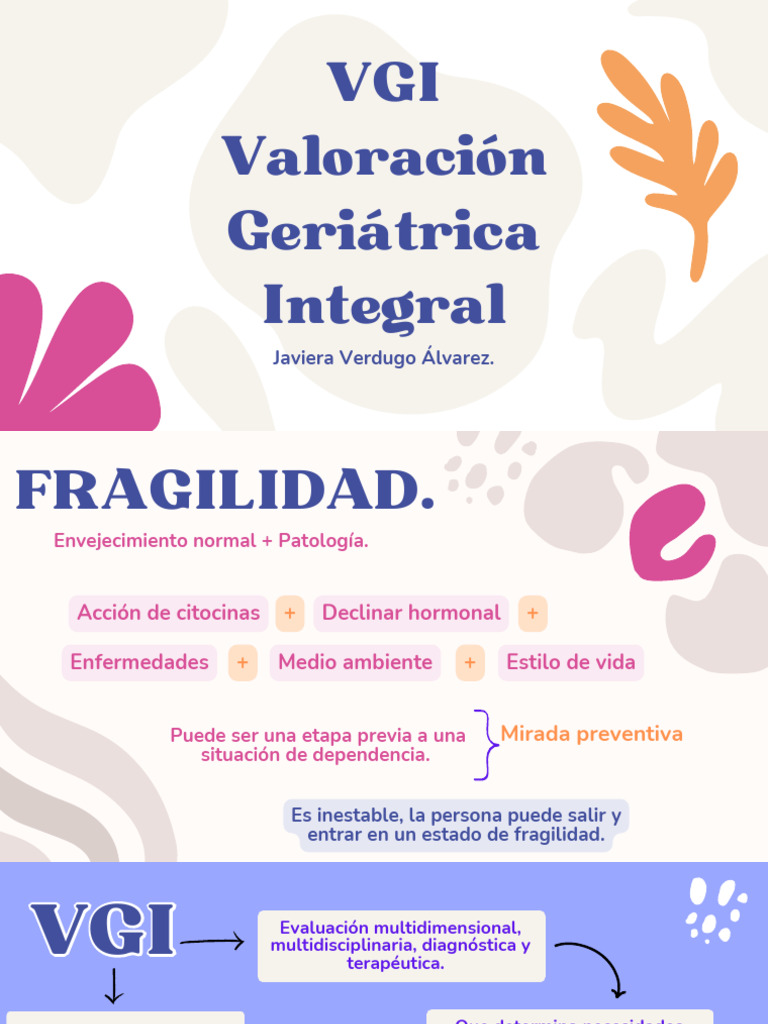 VGI Valoración Geriátrica Integral: Javiera Verdugo Álvarez | PDF | Geriatría | Evaluación