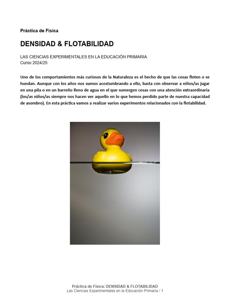 Práctica de Física - Densidad Flotabilidad | PDF | Densidad | Kilogramo