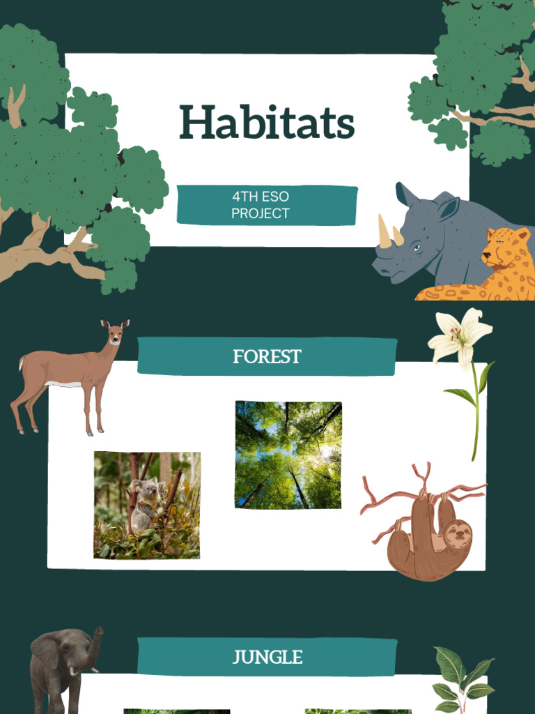 Habitats Project: Animals & Plants Guide | PDF