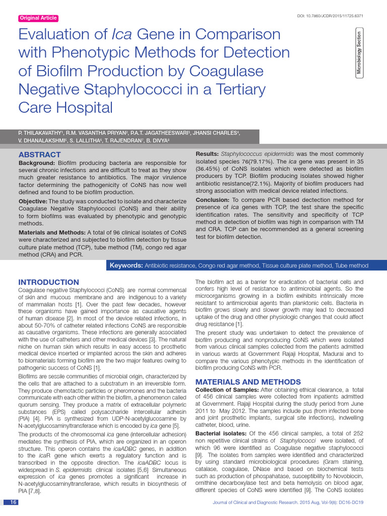 Evaluation of Ica Gene in Comparison | PDF | Biofilm | Staphylococcus