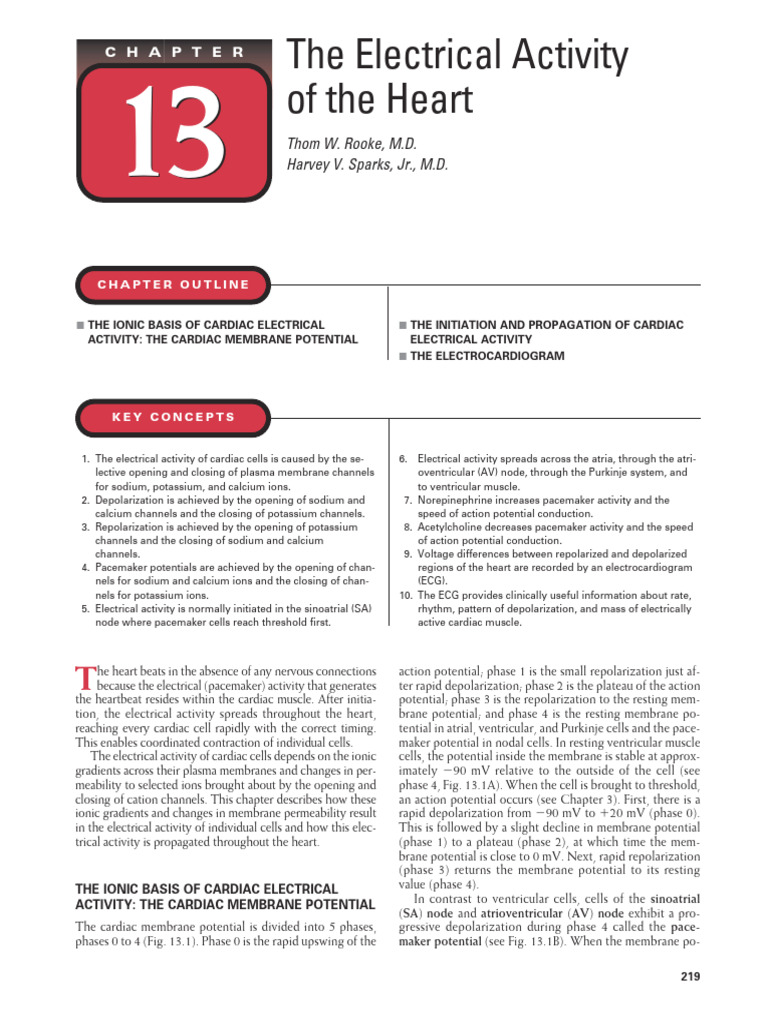 Cardiac Electrical Activity Explained | PDF | Action Potential ...