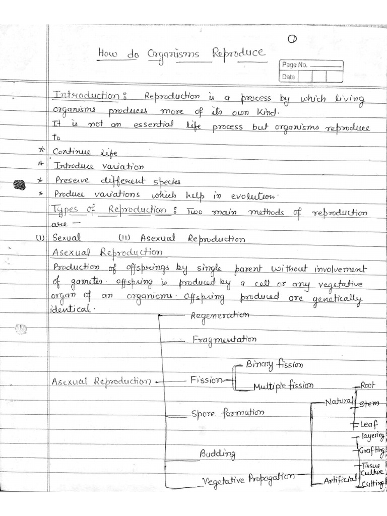 Bio Notes | PDF