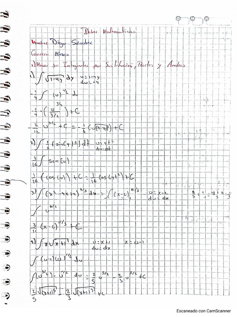 Deber de 30 Integrales Matemáticas | PDF