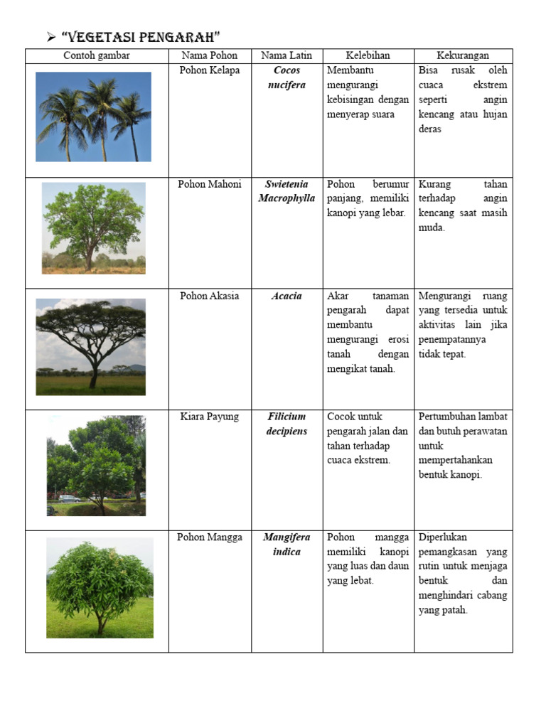 Vegetasi Pengarah dan Peneduh Ideal | PDF