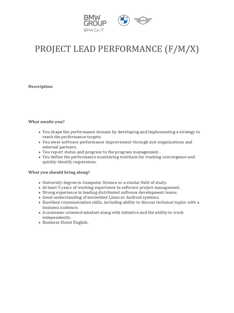 BMW Project Lead Software Performance | PDF