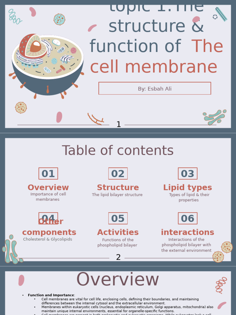 Chapter 10 Topic 1 The Structure & Function of The Cell Membrane | PDF ...