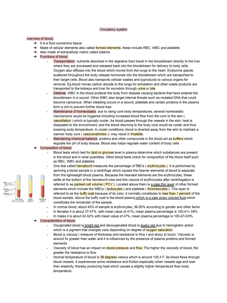 Circulatory system | PDF | White Blood Cell | Red Blood Cell