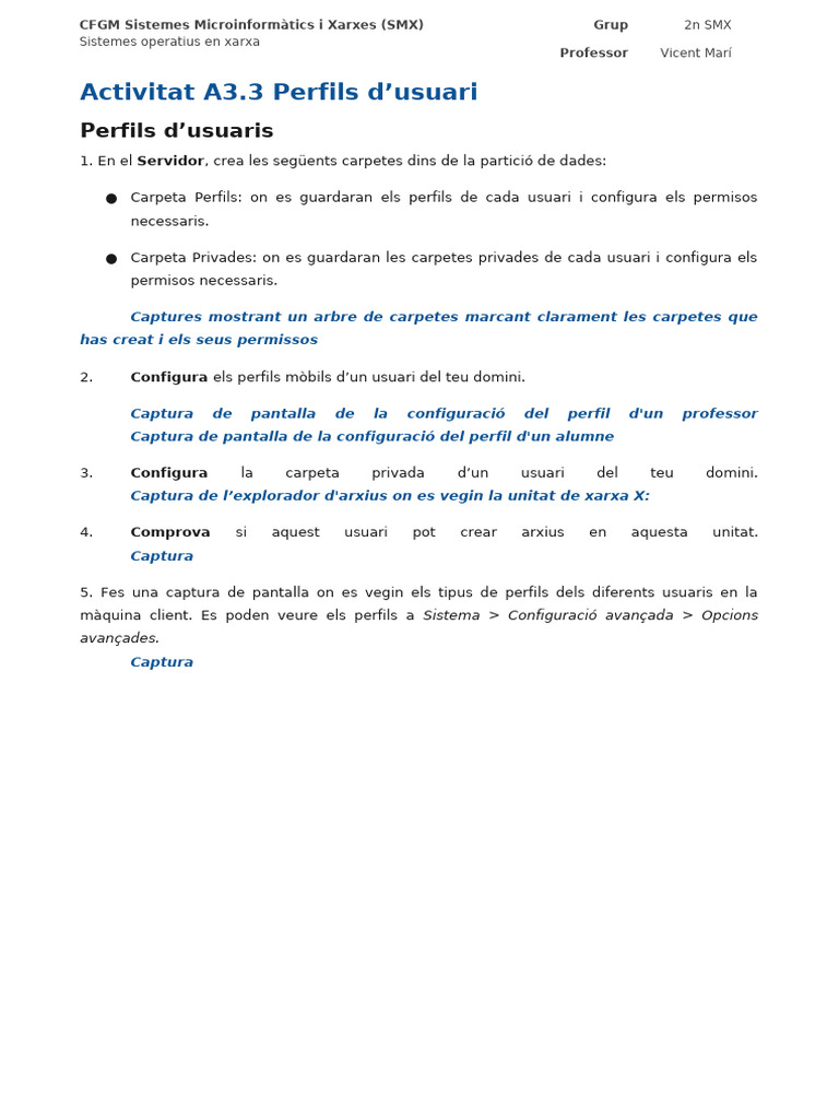 Tasca 4. Perfils Dusuari | PDF