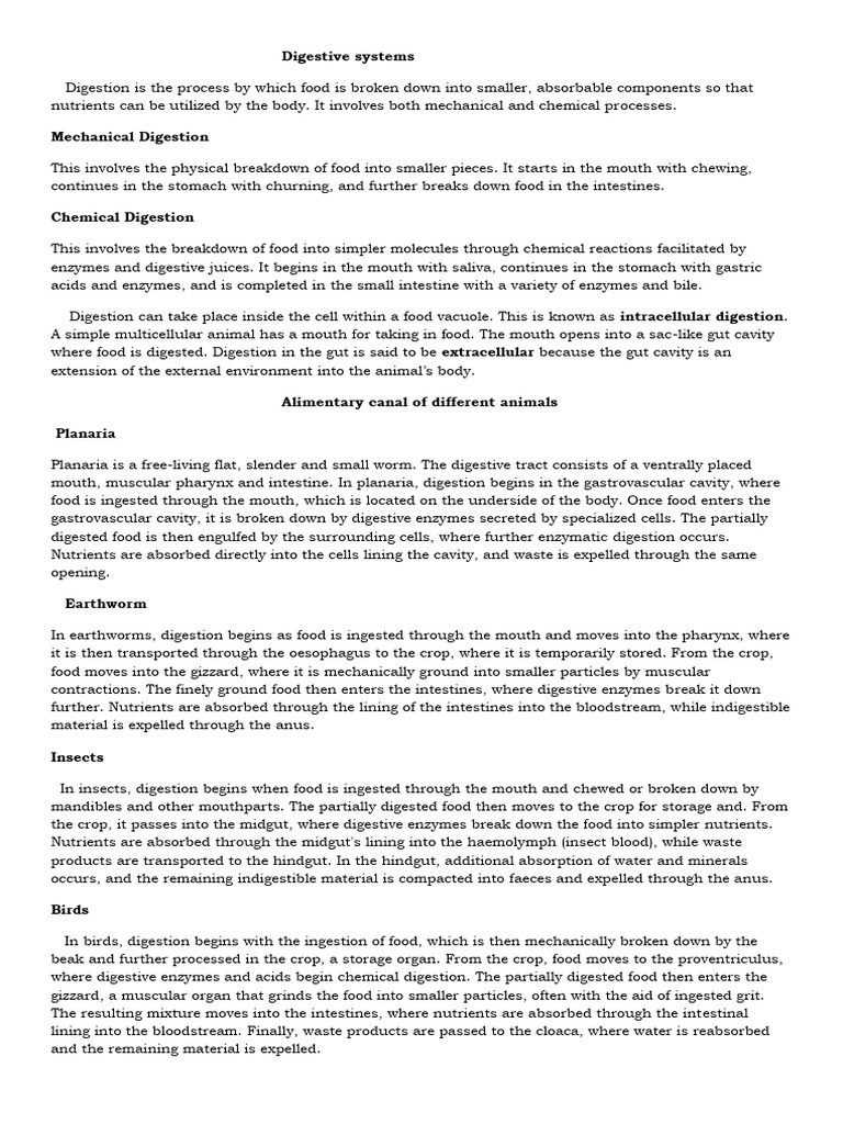 Digestive Systems: Extension of The External Environment Into The ...