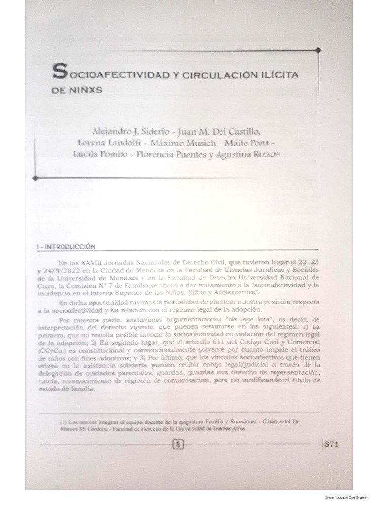 Socioafectividad y Circulacion Ilicita de Niñxs | PDF