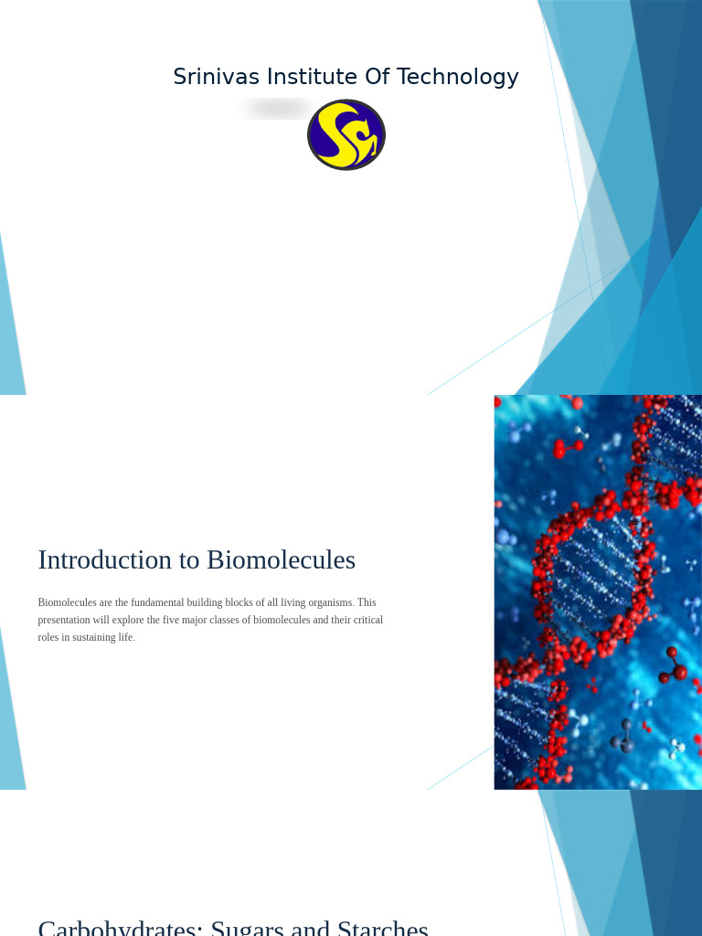 Introduction To Biomolecules | PDF | Biomolecules | Proteins