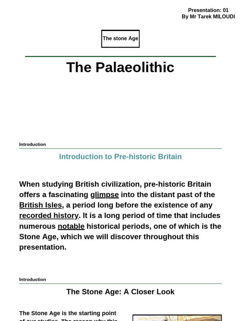 The Palaeolithic | PDF | Paleolithic | Anno Domini