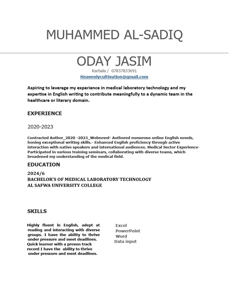 Muhammed Al-Sadiq Oday Jasim: Experience | PDF