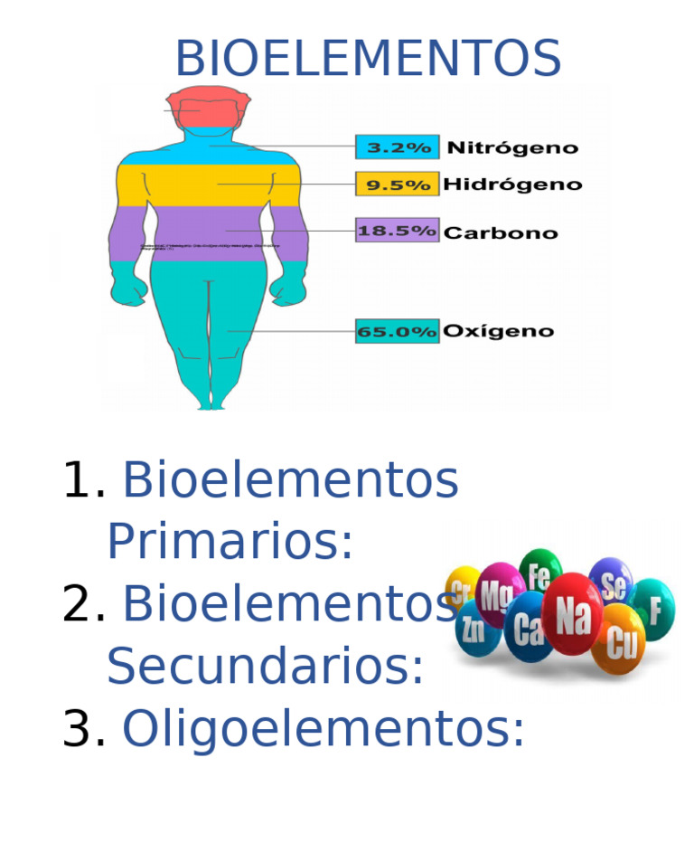 BIOELEMENTOS | PDF