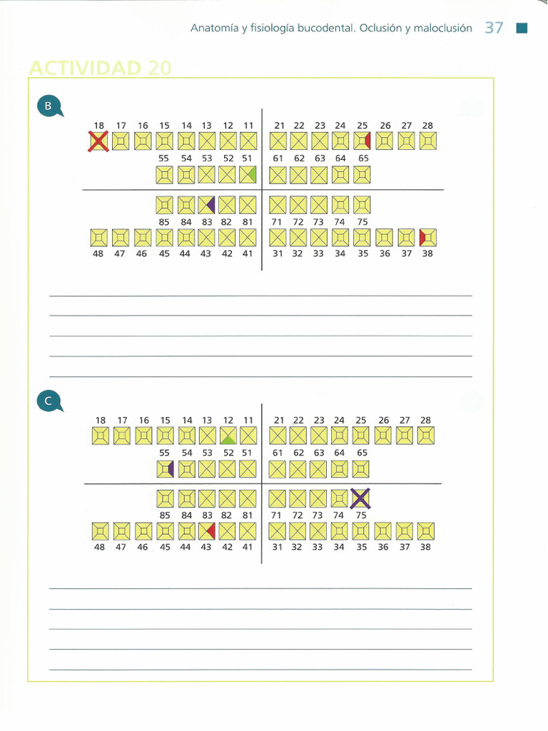 Actv 2 Aules Odontogramas | PDF